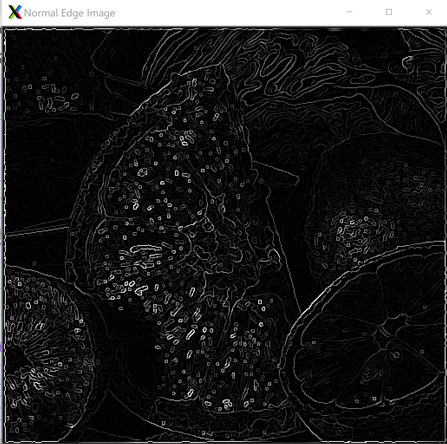 Dlib C++ Library に付属のサンプルプログラムで，カラー画像のエッジ抽出（Ubuntu 上）